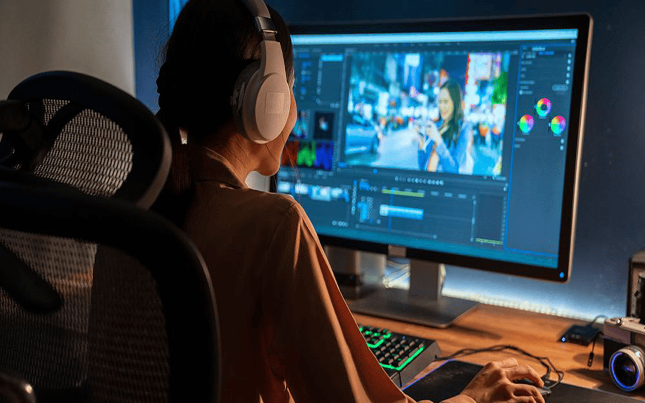 PMV Animation Pro Media Vision